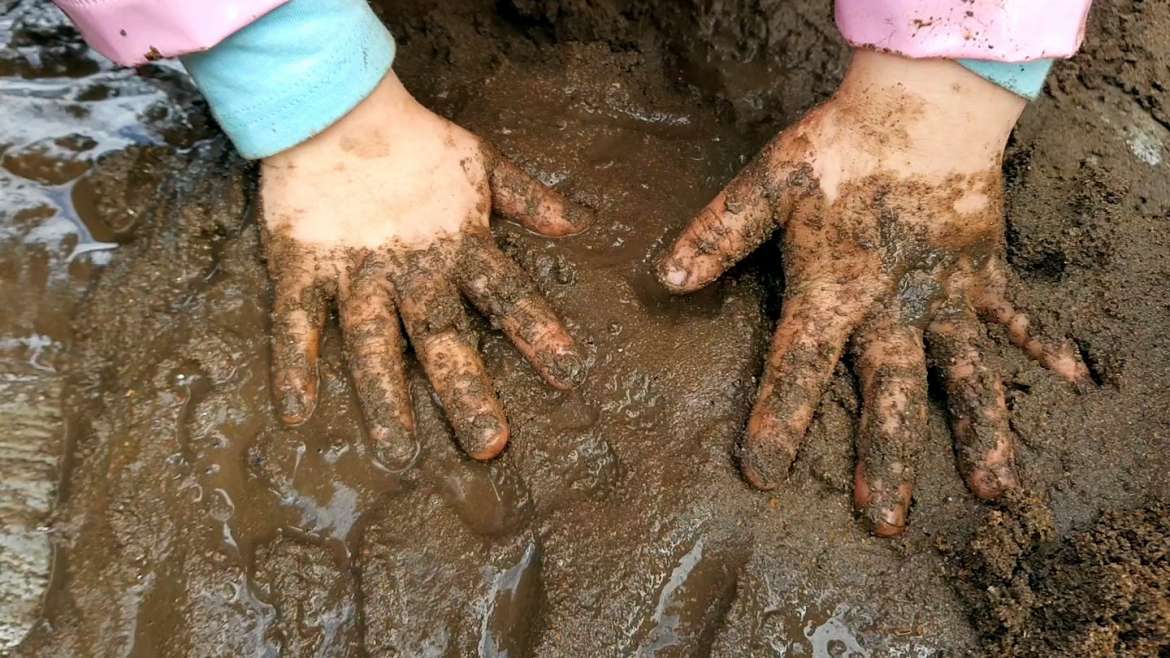 Muddy Roots – Writing Your Life